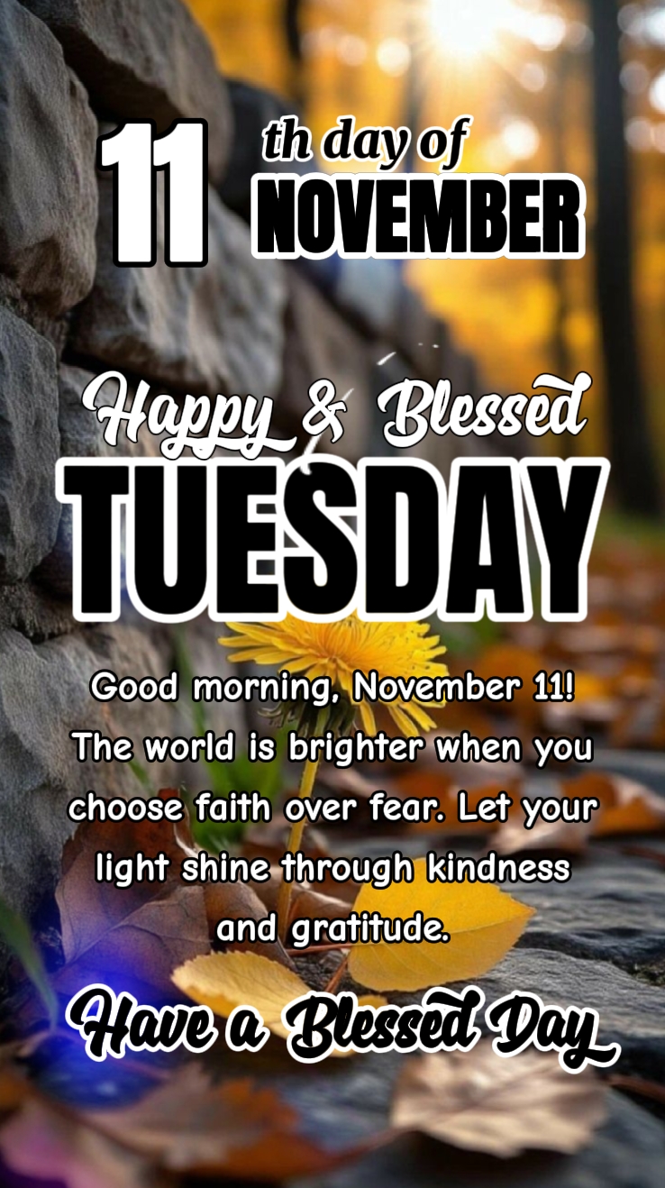 11 November, Tuesday - video template by CapCut