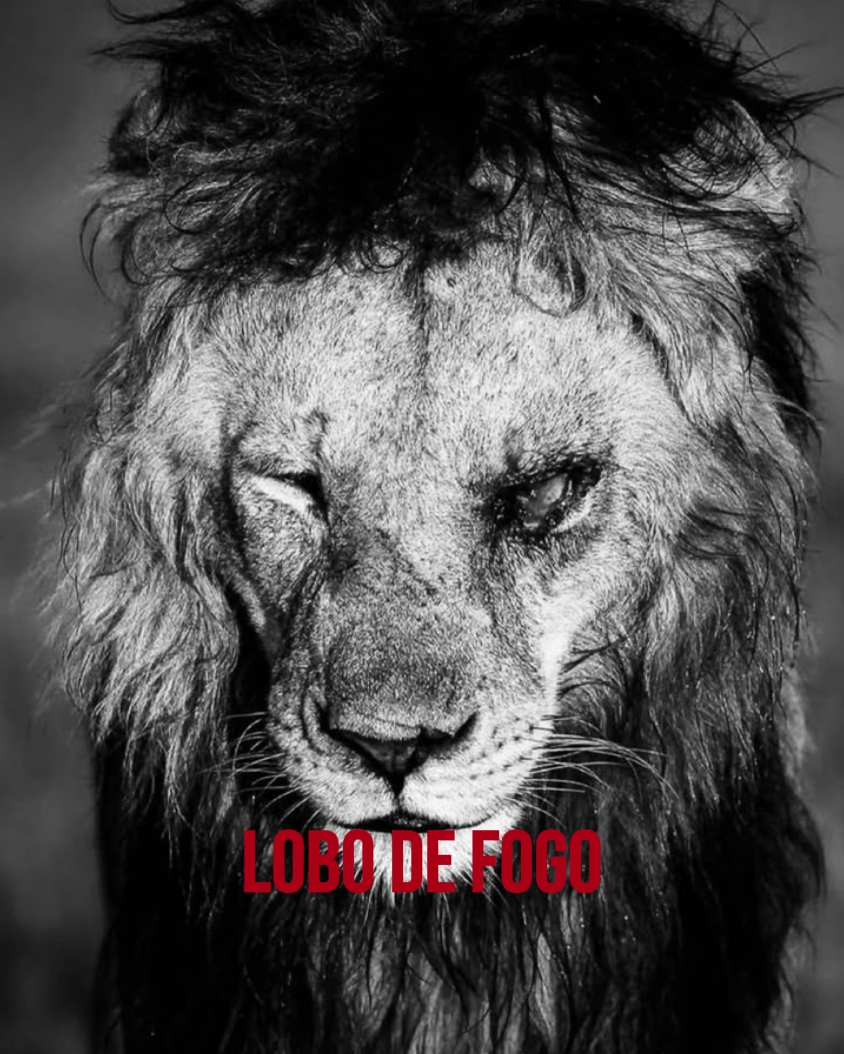 Lobo de Fogo - modelos CapCut