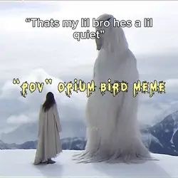 Bird Meme: Discover Trending Bird Memes Online | CapCut - AI Tools